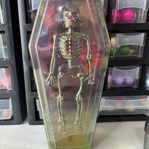 Holiday | Iridescent Skeleton In Coffin Display | Poshmark